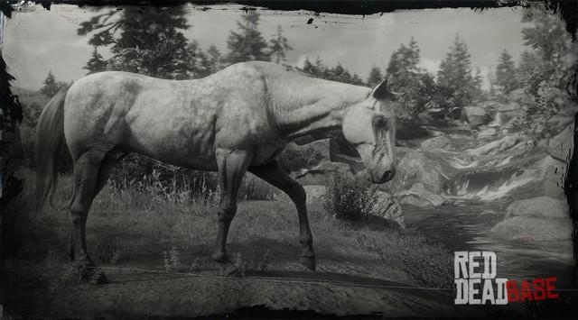 Thoroughbred | RDR2 Horse Breeds Coats, Locations & Stats