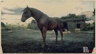 Flaxen Roan Tennessee Walker - Red Dead Redemption 2 Horses Database ...