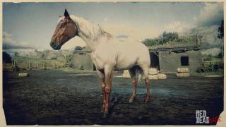 Mahogany Bay Tennessee Walker - RDR2 & Red Dead Online Horses Database ...