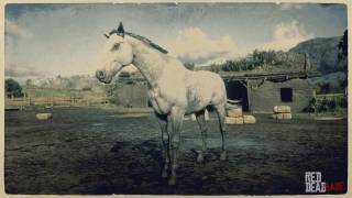 Dappled Black Thoroughbred - RDR2 & Red Dead Online Horses Database ...