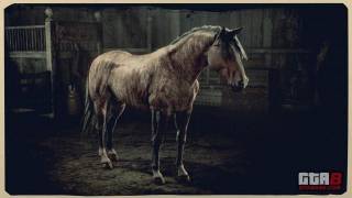 Chocolate Roan Dutch Warmblood - RDR2 & Red Dead Online Horses Database ...