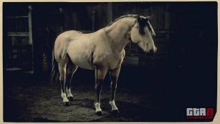 Criollo Horse - Red Dead Redemption 2 Horse Breeds Guide - Red Dead ...